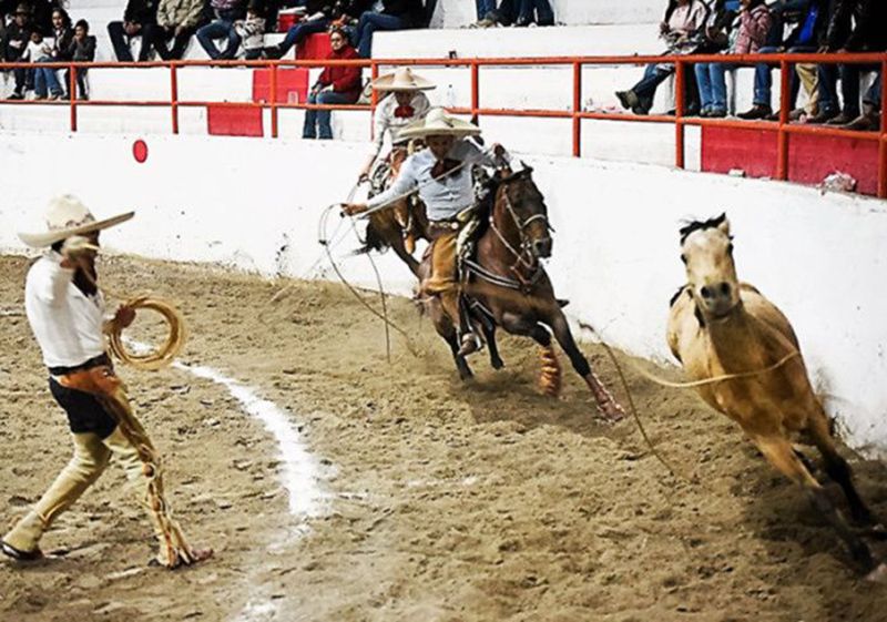 Intensa jornada del Estatal Charro, con seis competencias | Hidalgo Sport