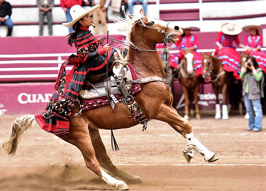 Arranca el primer Campeonato Pre-estatal Charro 2024 | Hidalgo Sport